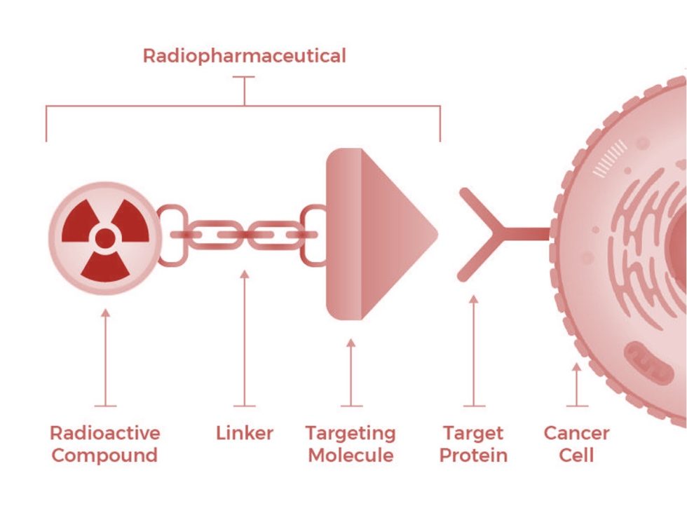 About Nuclear Medicine - Nusano
